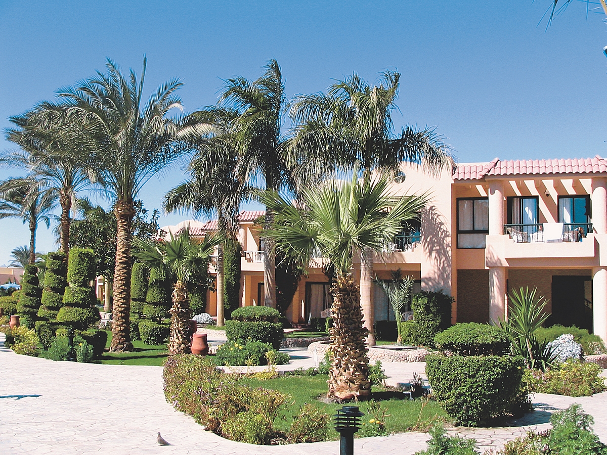 Ali Baba Palace - Egypt - CK Fischer