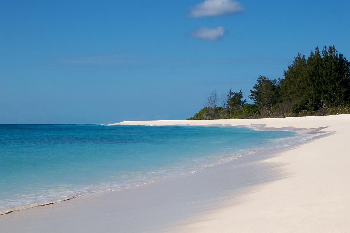 Bird Island - Dovolená 2024 - CK FISCHER
